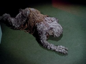 Aliens of Star Trek: The M-113 Creature – Trekking with Dennis